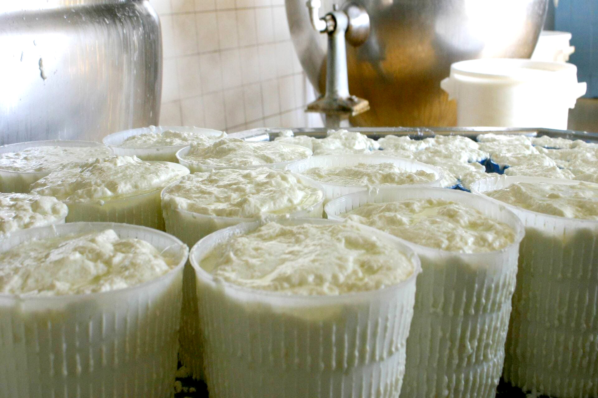 Cheese Tour in Modica - The Thinking Traveller