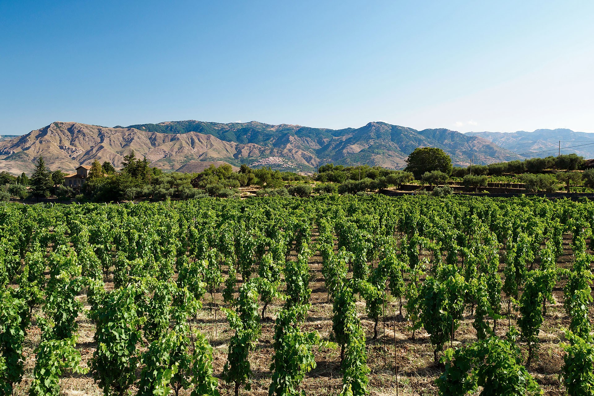 Pietradolce and Cottanera - The Thinking Traveller