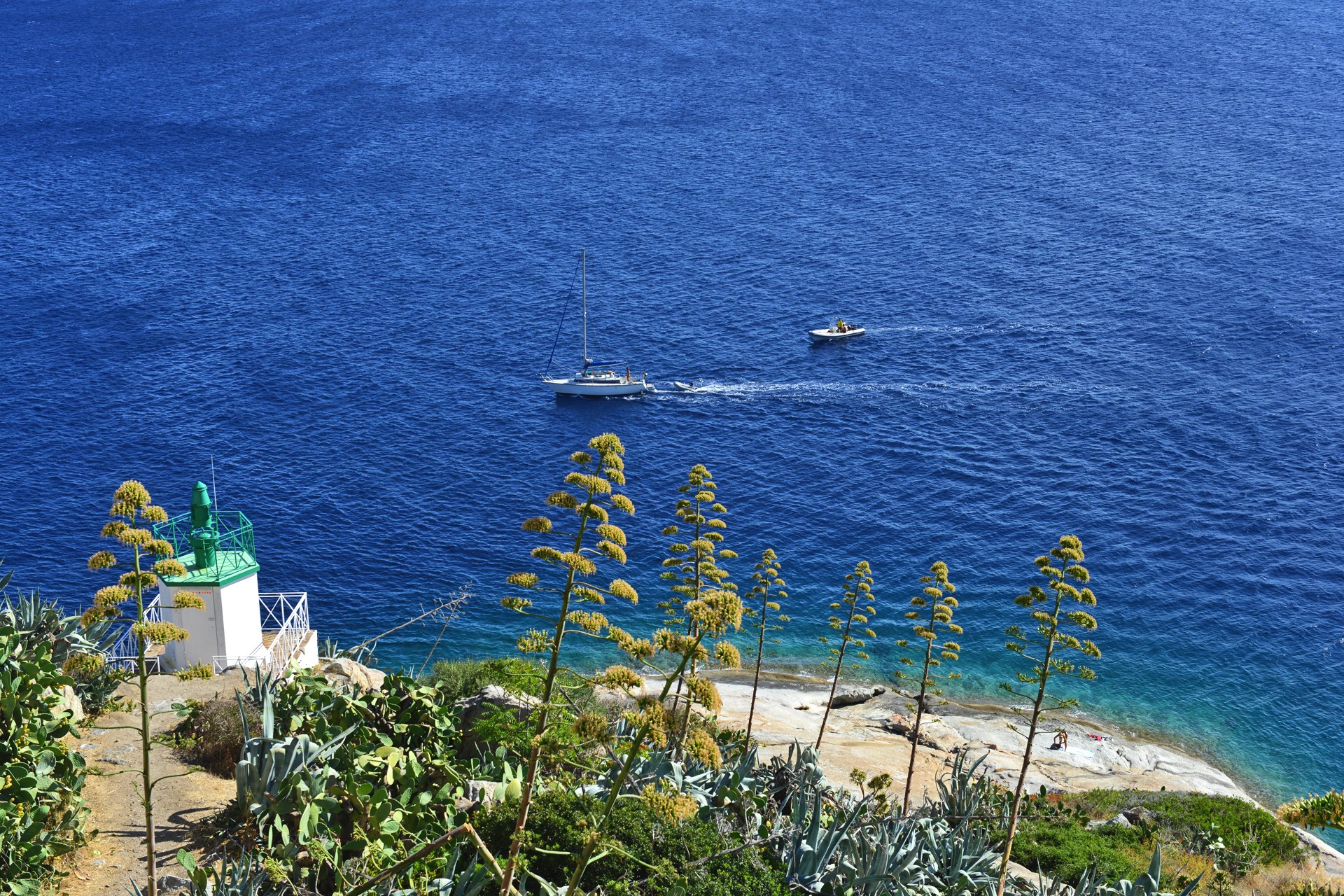 Guide to Calvi, Corsica - The Thinking Traveller