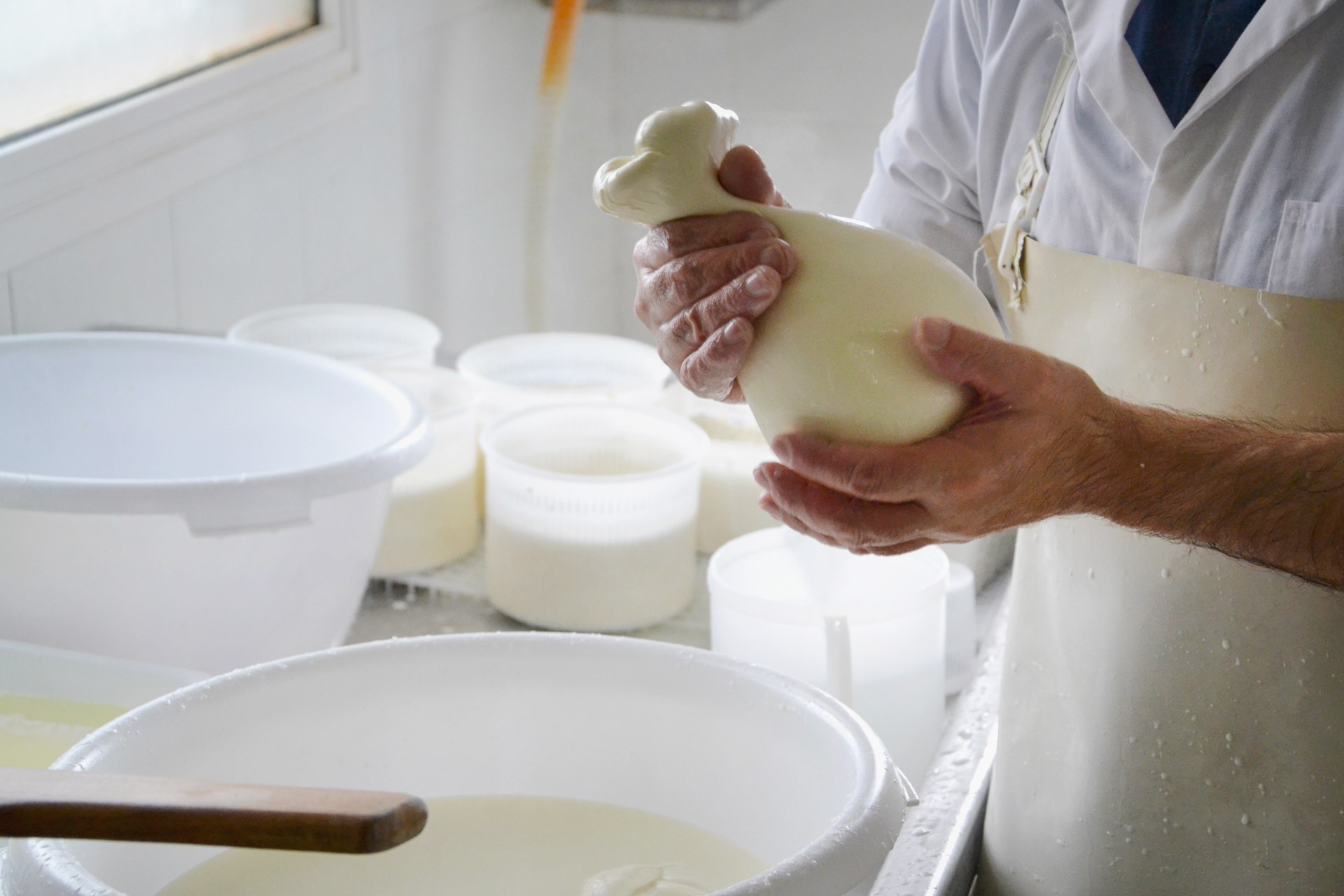 Cheese Making workshop in Alberobello | The Thinking Traveller