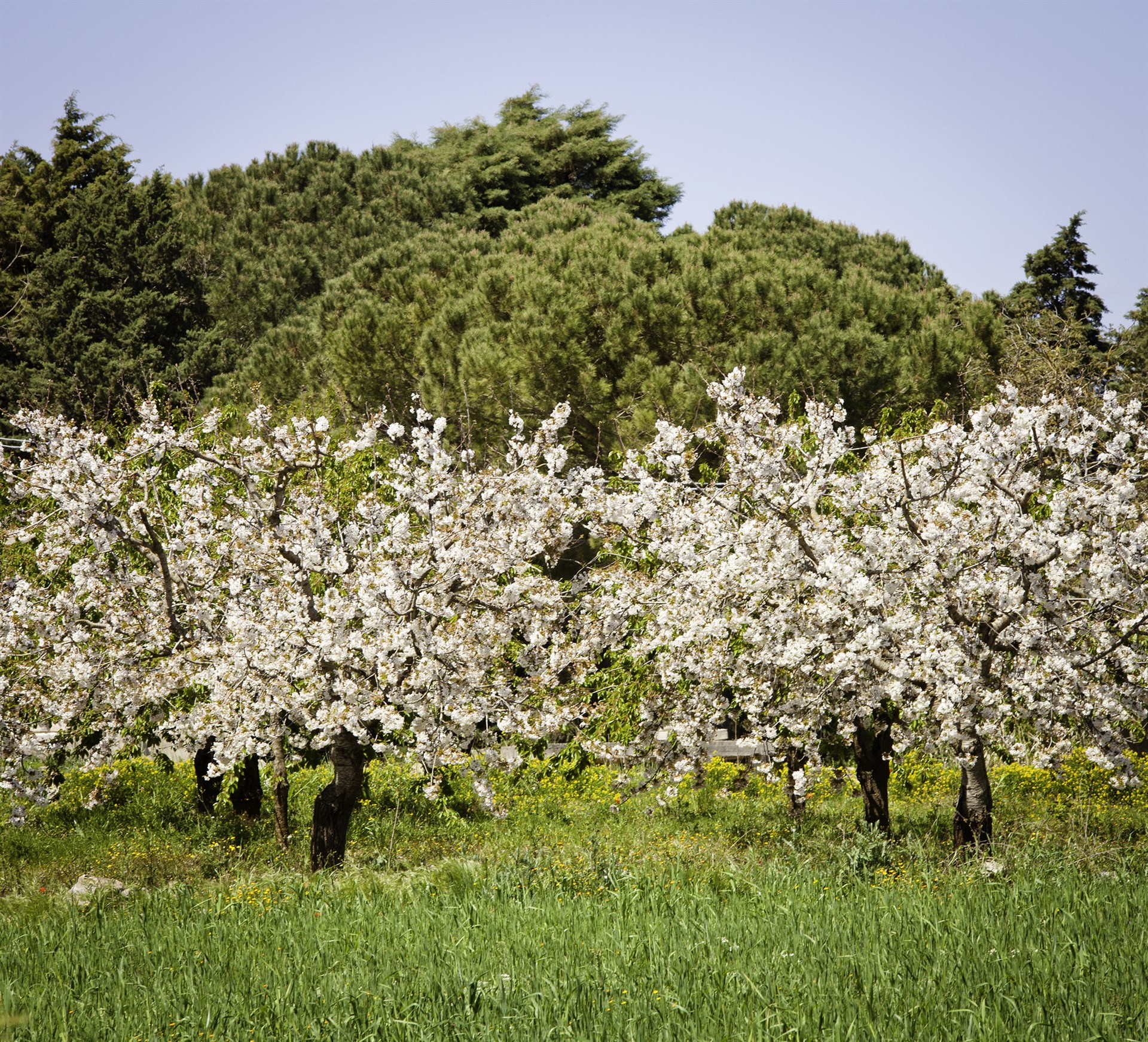 Salento travel guide, Puglia - The Thinking Traveller