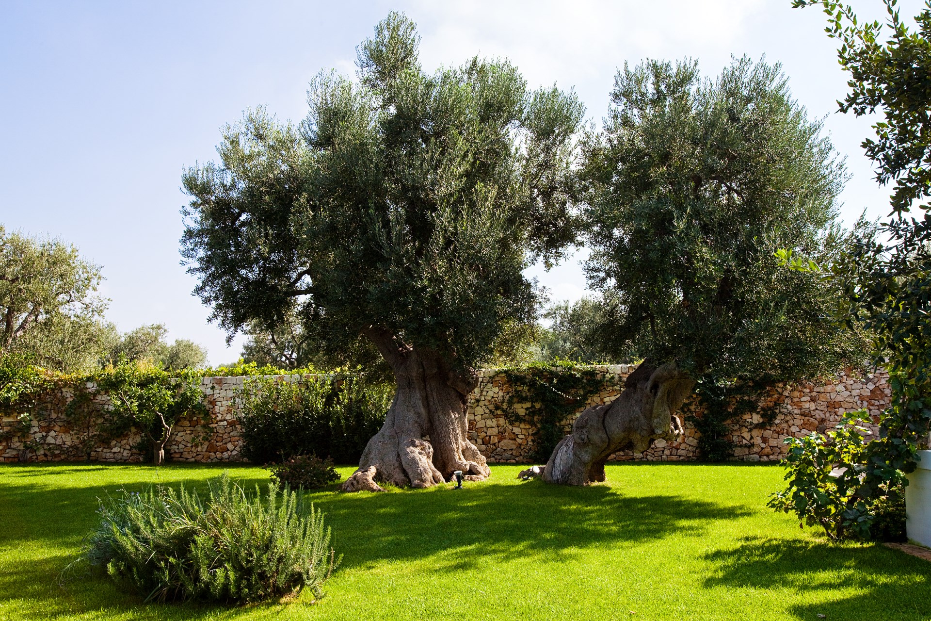 Trullo Alice, Villas in Puglia - The Thinking Traveller