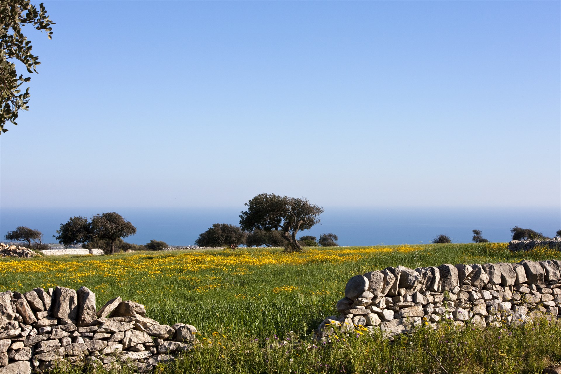 Guide to Scicli, Sicily - The Thinking Traveller