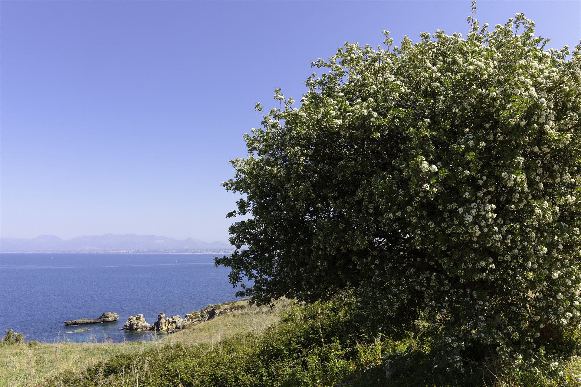 Funcia, Villas in Sicily - The Thinking Traveller